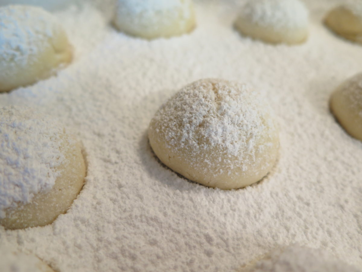 Key Lime Snowball Cookies - Fun in Key West