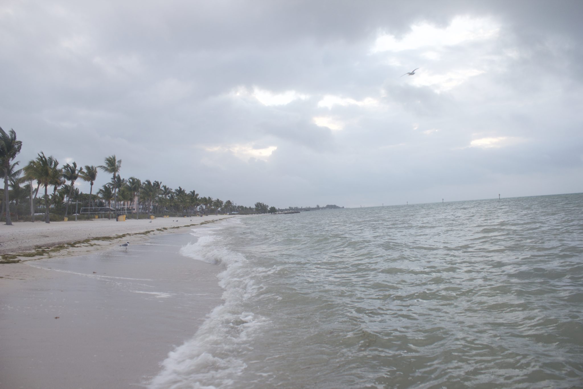 3 Reasons Smathers Beach Key West Fl is the Best - Fun in Key West