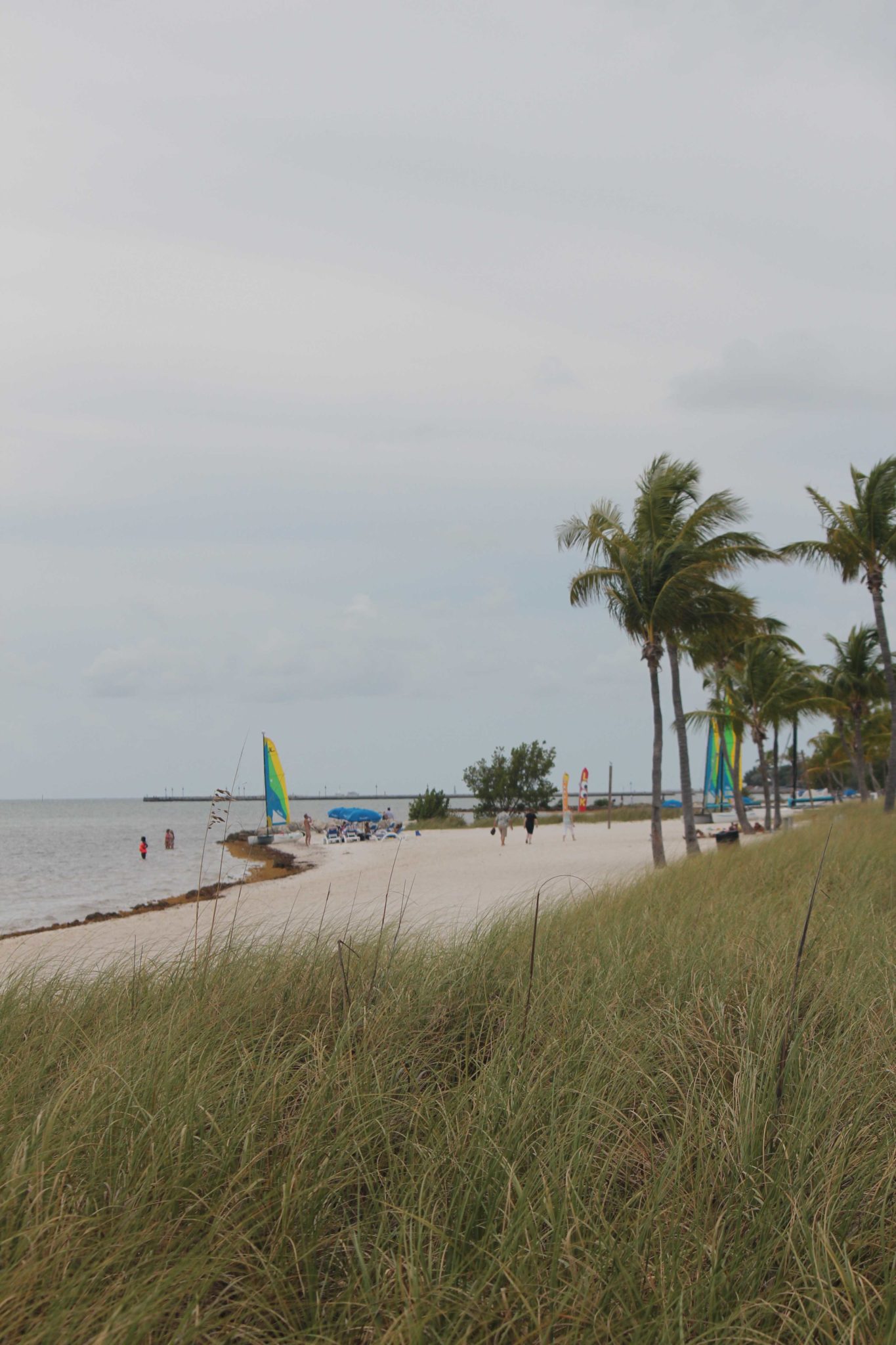 3 Reasons Smathers Beach Key West Fl is the Best - Fun in Key West