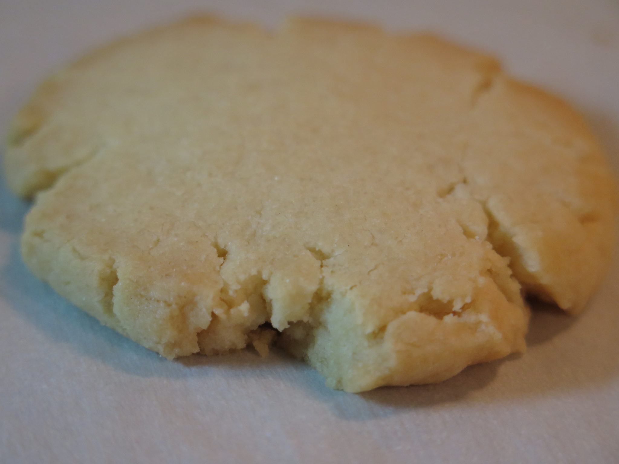The easiest Lemonades Girl Scout Cookie Recipe - Fun in Key West