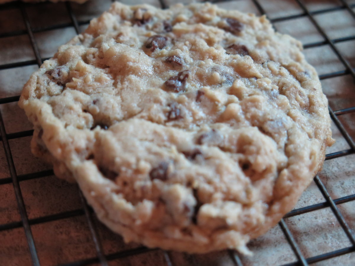 Potbelly Oatmeal Chocolate Chip Cookie Recipe - Fun in Key West