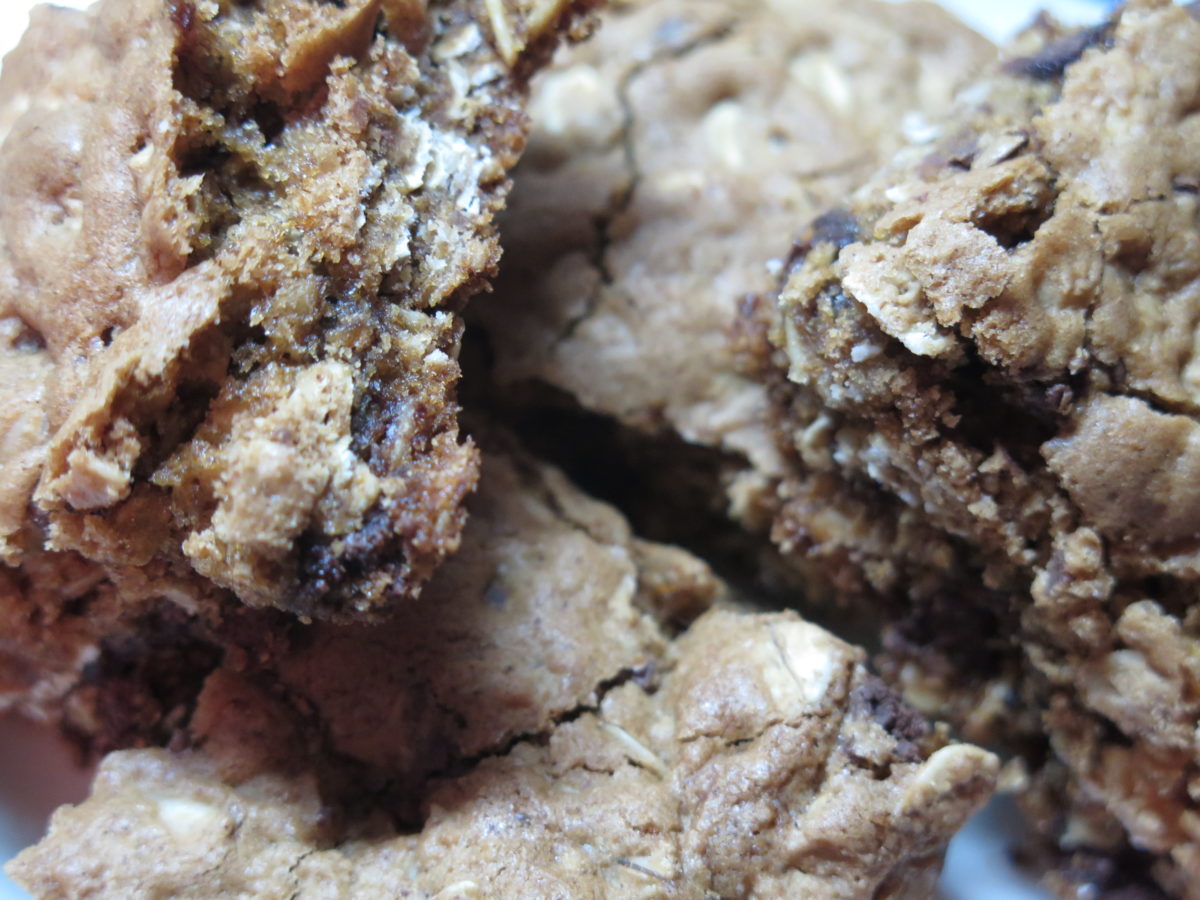 The Quickest Quaker Oats Oatmeal Cookie Recipe Ever - Fun in Key West