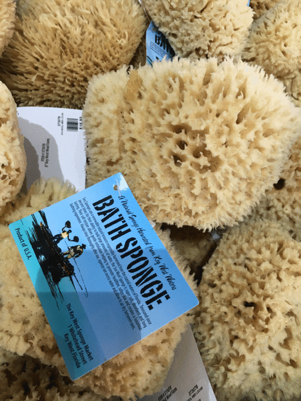 Sponging - More Than a Shopping Trip - Fun in Key West