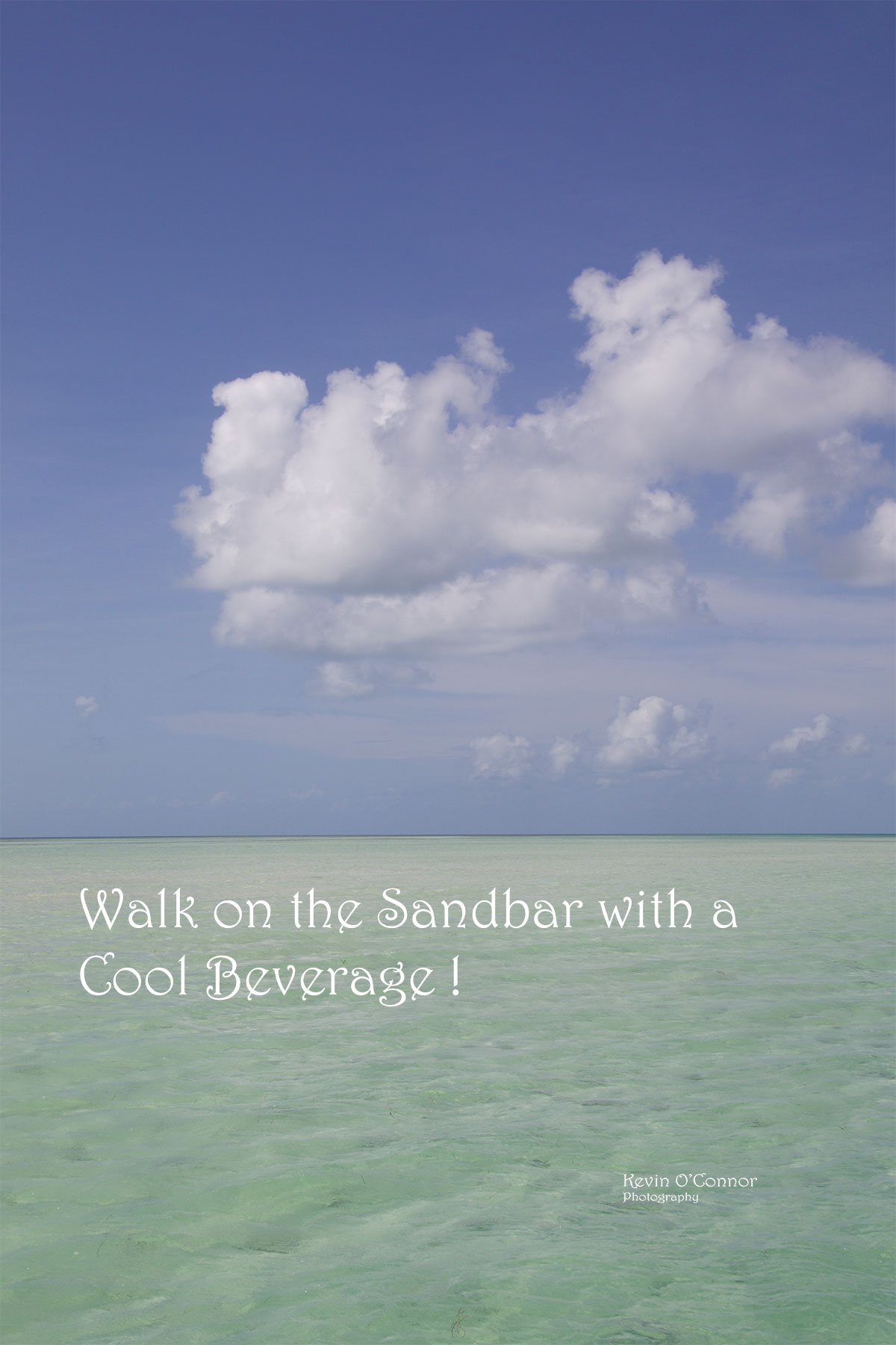 Make It So Charters - Fun in Key West