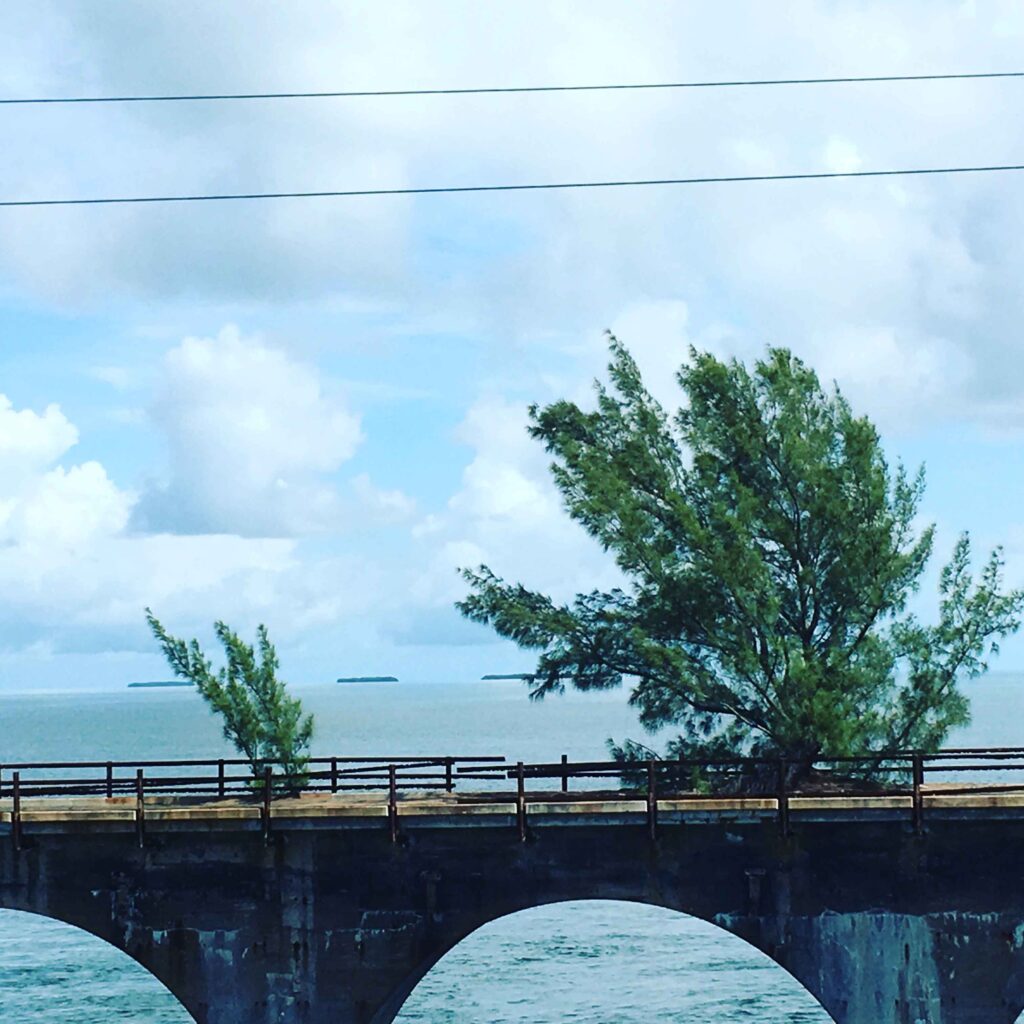 Ultimate Road Trip from Miami to Key West (Guide to the Best Stops in ...