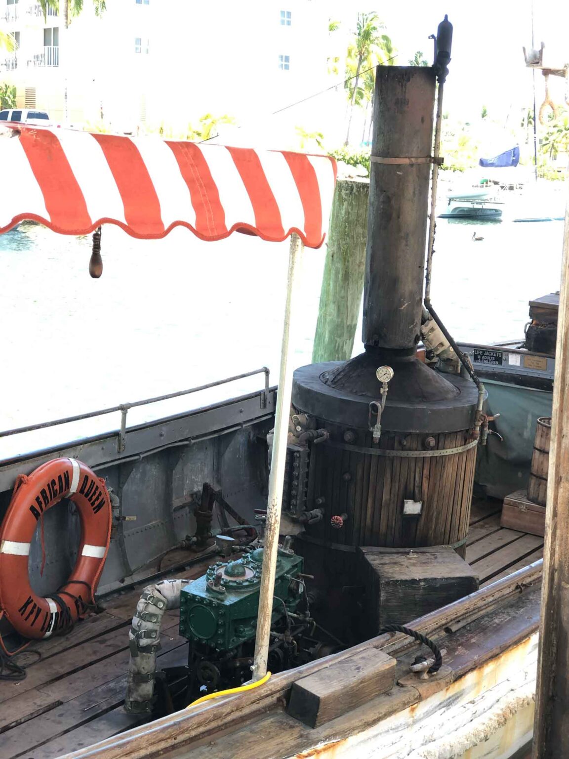 The Best Things to do in Key Largo at Night - Fun in Key West